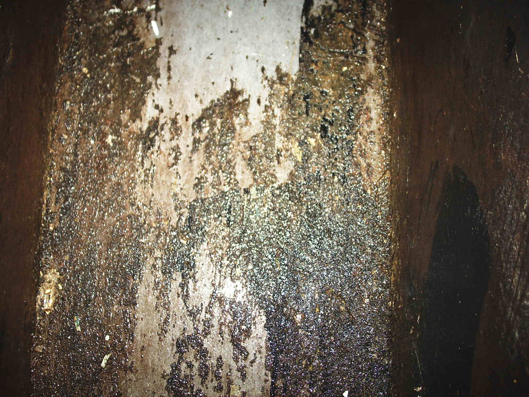 Banish the Stink: The Science Behind Trash Chute Odors!